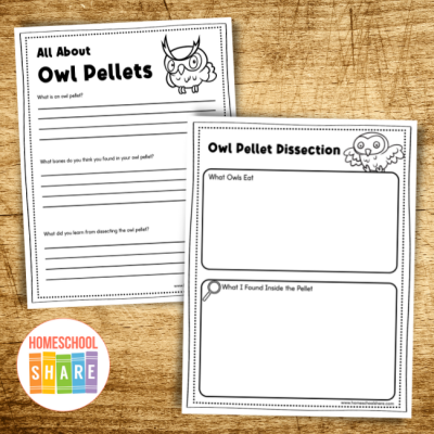 Free Owl Printables - Homeschool Share