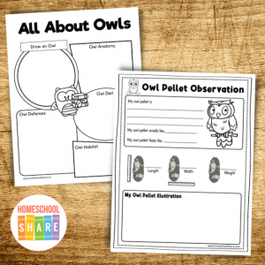 Free Owl Printables - Homeschool Share