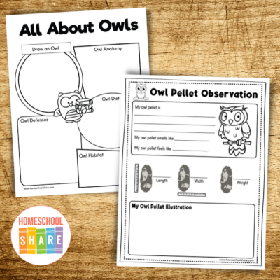 Free Owl Printables - Homeschool Share