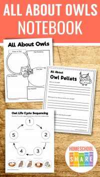 Free Owl Printables - Homeschool Share