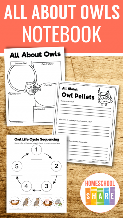 Free Owl Printables - Homeschool Share