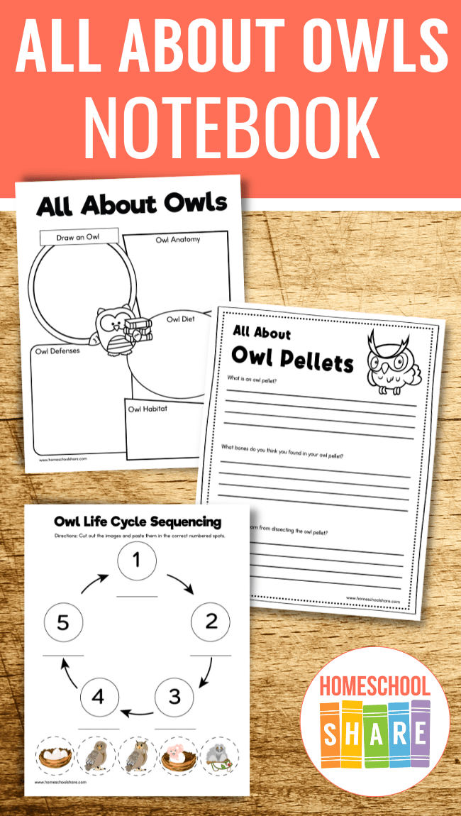 Free Owl Printables - Homeschool Share