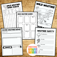Free Extreme Weather Worksheets - Homeschool Share