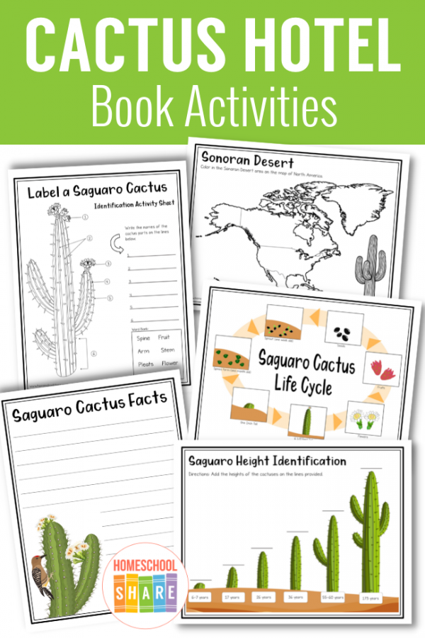 Free Cactus Hotel Activities - Homeschool Share