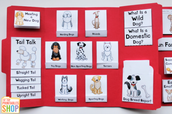 Dog Lapbook Project for Kids - Homeschool Share