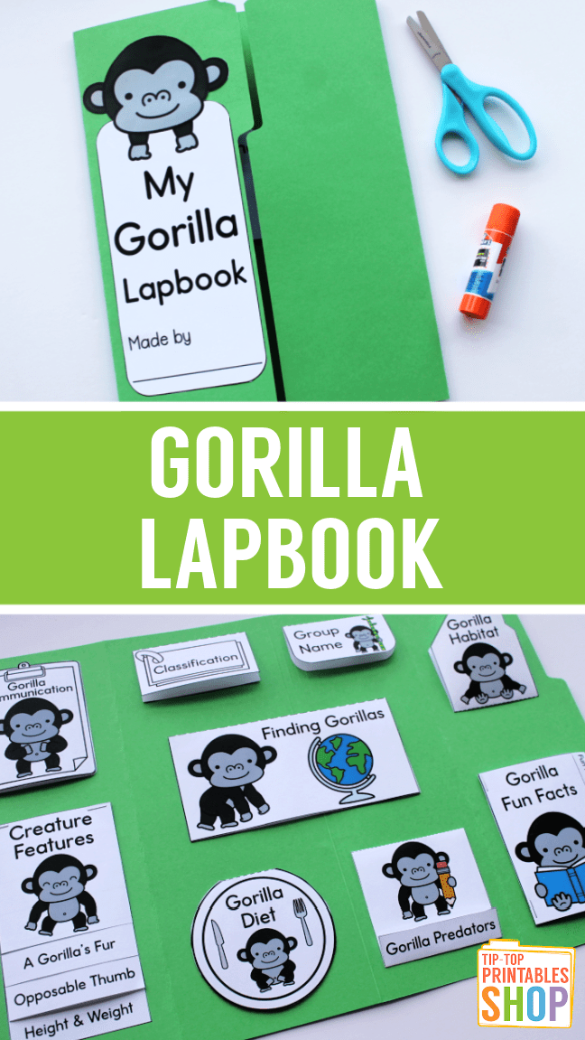 Gorilla Lapbook - Homeschool Share