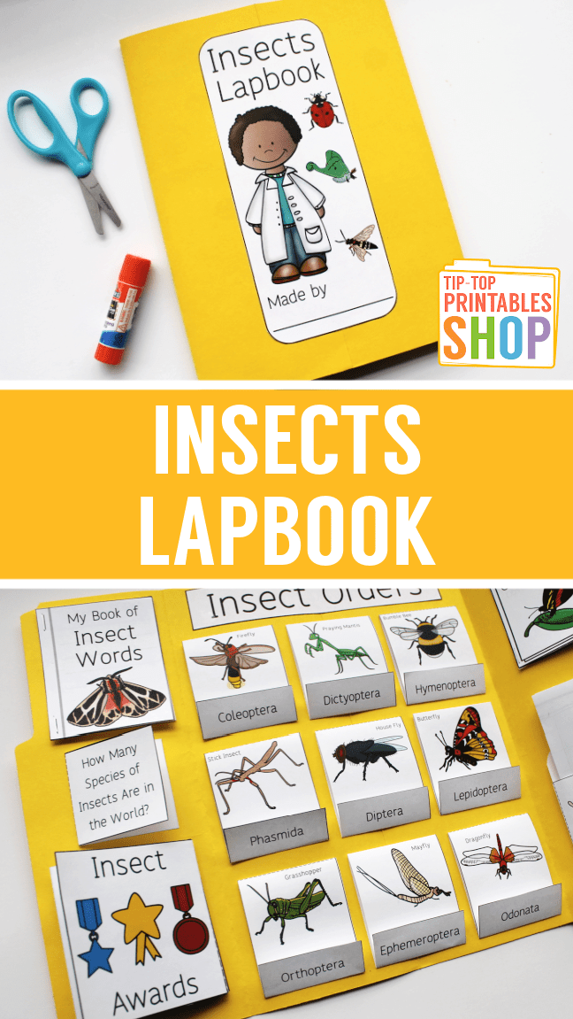 Insects Lapbook - Homeschool Share