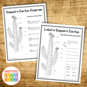 Free Cactus Hotel Activities - Homeschool Share