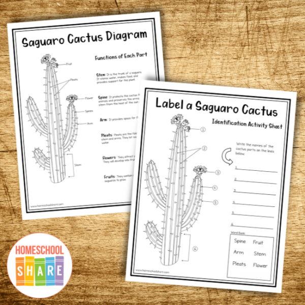 Free Cactus Hotel Activities - Homeschool Share