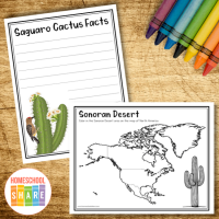 Free Cactus Hotel Activities - Homeschool Share