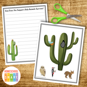 Free Cactus Hotel Activities - Homeschool Share