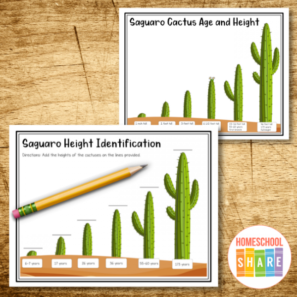 Free Cactus Hotel Activities - Homeschool Share