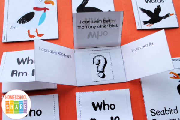 Seabirds Lapbook - Homeschool Share