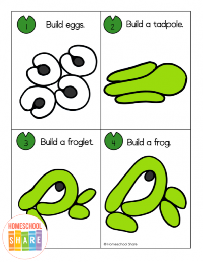 Free Frog Life Cycle Playdough Mats - Homeschool Share