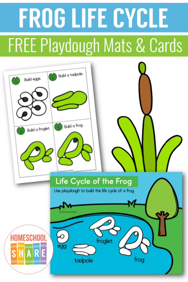 Free Frog Life Cycle Playdough Mats - Homeschool Share