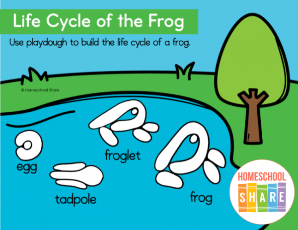 Free Frog Life Cycle Playdough Mats - Homeschool Share