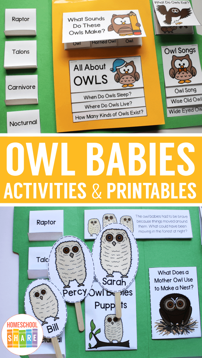 Free Owl Babies Activities for Preschool - Homeschool Share