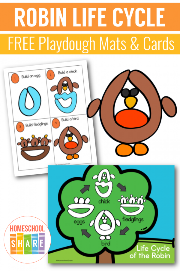 Free Bird Life Cycle Playdough Mats - Homeschool Share