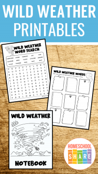 Free Extreme Weather Worksheets - Homeschool Share