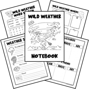 Free Extreme Weather Worksheets - Homeschool Share