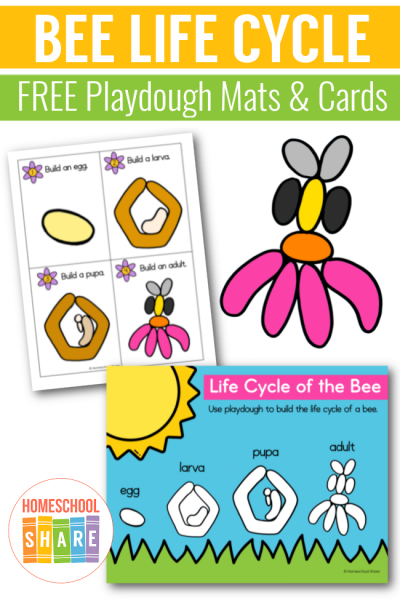 Free Bee Life Cycle Playdough Mats - Homeschool Share