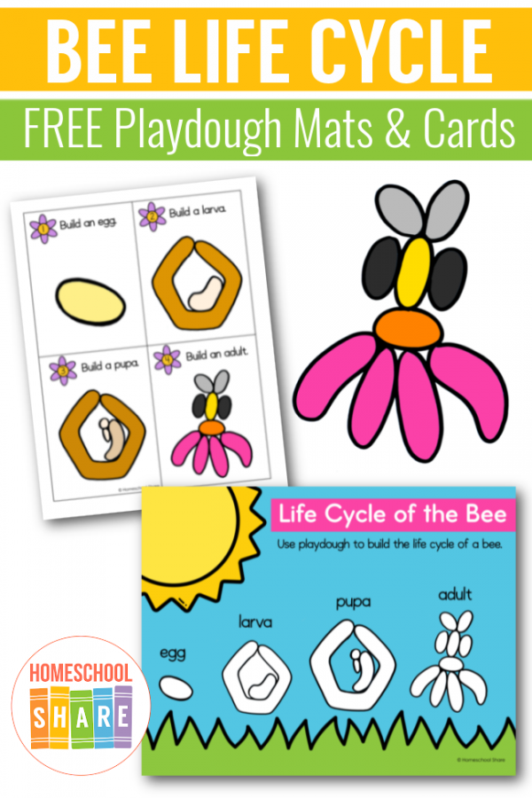 Free Bee Life Cycle Playdough Mats - Homeschool Share