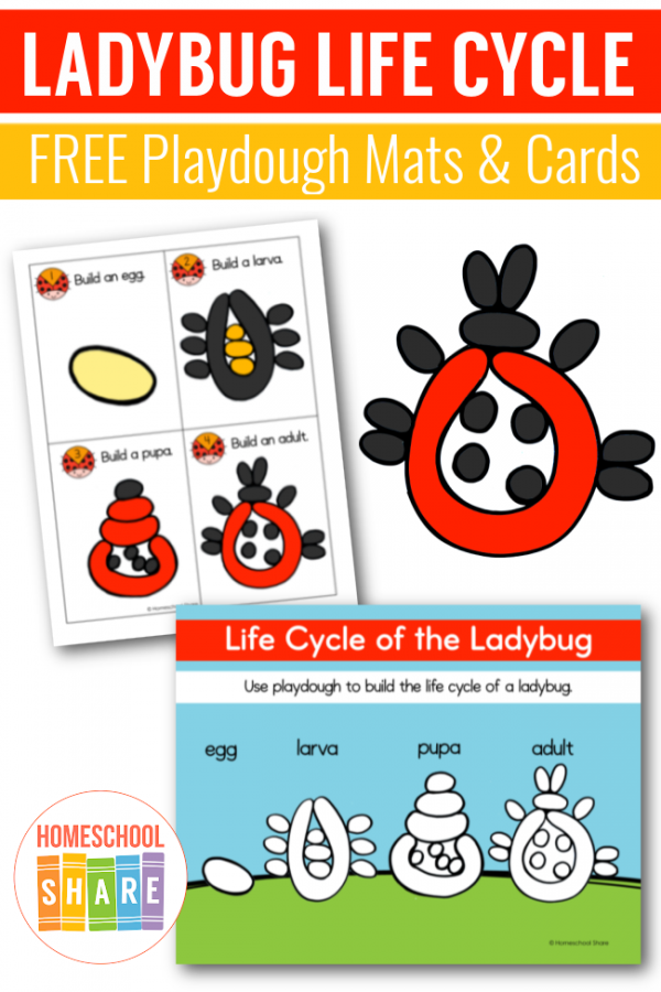 Free Ladybug Life Cycle Playdough Mats - Homeschool Share