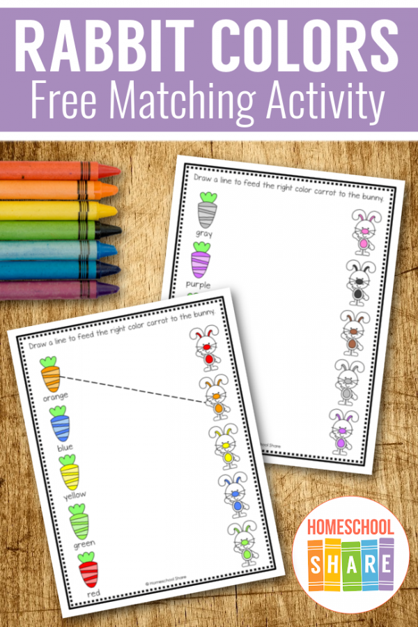 Free Rabbit Colors Matching Worksheets - Homeschool Share