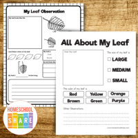 Printable Leaf Worksheets and Activities - Homeschool Share