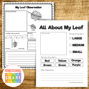Printable Leaf Worksheets and Activities - Homeschool Share
