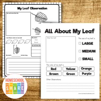 Printable Leaf Worksheets and Activities - Homeschool Share