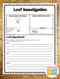 Printable Leaf Worksheets and Activities - Homeschool Share