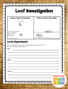 Printable Leaf Worksheets and Activities - Homeschool Share