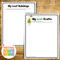 Printable Leaf Worksheets and Activities - Homeschool Share