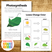 Printable Leaf Worksheets and Activities - Homeschool Share
