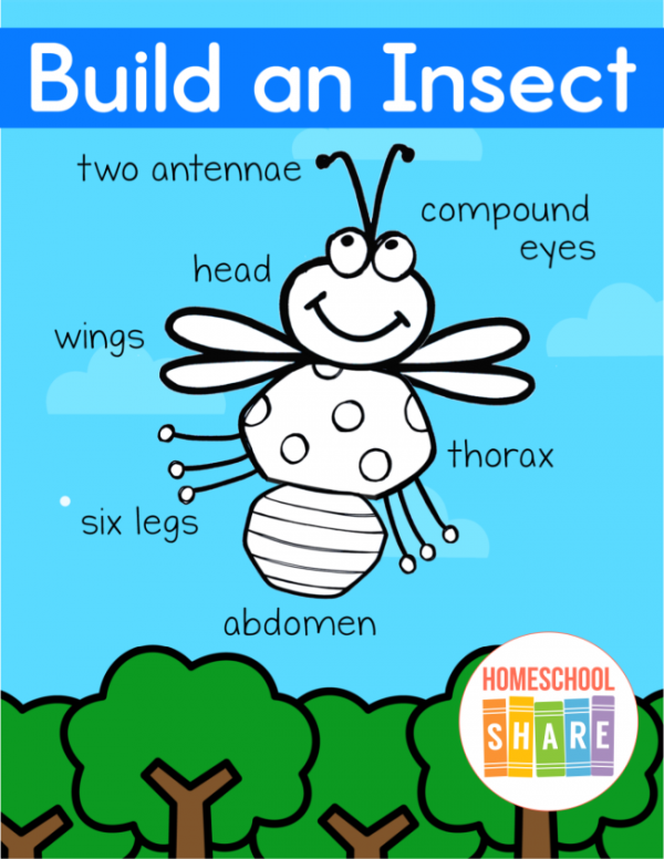 Insect Playdough Mats - Homeschool Share