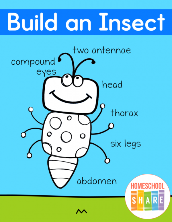 Insect Playdough Mats - Homeschool Share