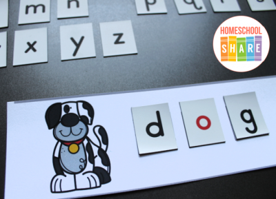 Fun Spelling Activity for Pet Shop Words - Homeschool Share