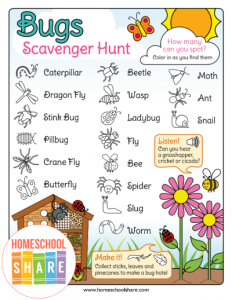 Bug Scavenger Hunt Printable - Homeschool Share
