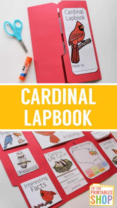 Cardinal Lapbook - Homeschool Share