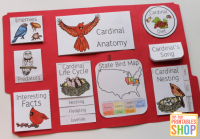 Cardinal Lapbook - Homeschool Share