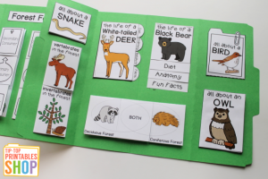 Forest Lapbook - Homeschool Share