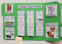Forest Lapbook - Homeschool Share