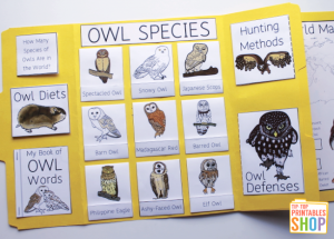 Animal Lapbooks - Homeschool Share