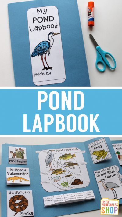 Pond Lapbook - Homeschool Share