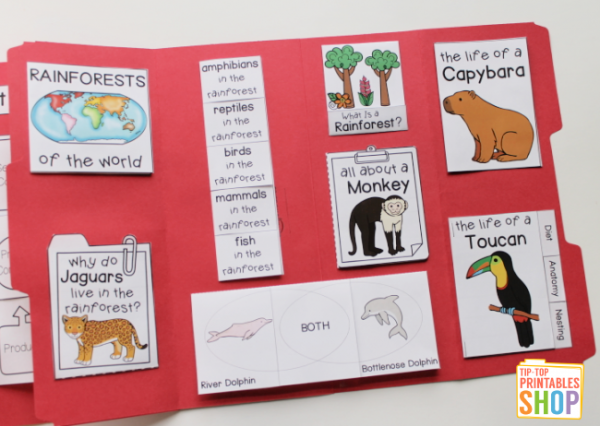 Rainforest Lapbook - Homeschool Share