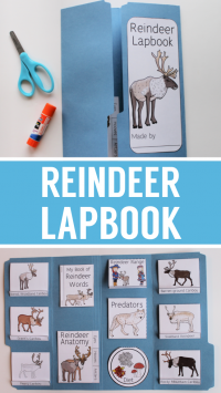 Reindeer Lapbook - Homeschool Share