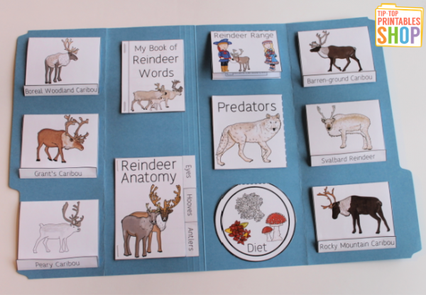 Animal Lapbooks - Homeschool Share