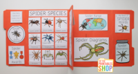 Spider Lapbook - Homeschool Share