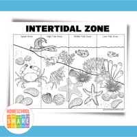 Ocean Zones Worksheets (free!) - Homeschool Share